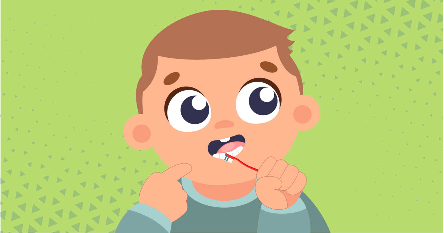 When do the milk teeth fall out? [Explained] | Casa Dentalis
